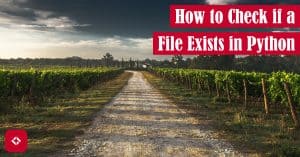 How to Check if a File Exists in Python: Try/Except, Path, and IsFile – The Renegade Coder