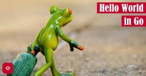 Hello World in Go – The Renegade Coder