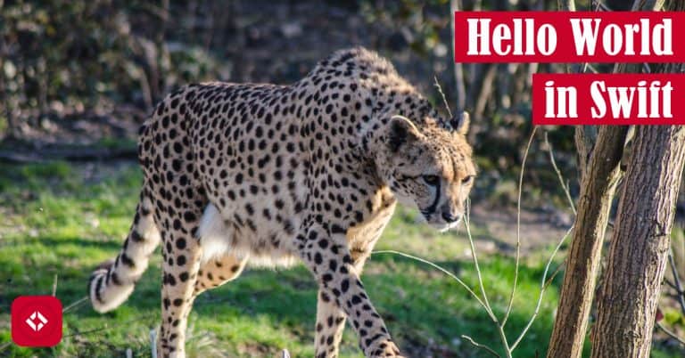 Hello World in Swift – The Renegade Coder