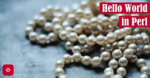 Hello World in Perl – The Renegade Coder