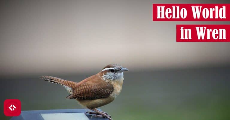 Hello World in Wren – The Renegade Coder