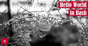 Hello World in Bash – The Renegade Coder