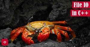 File IO in C++ – The Renegade Coder