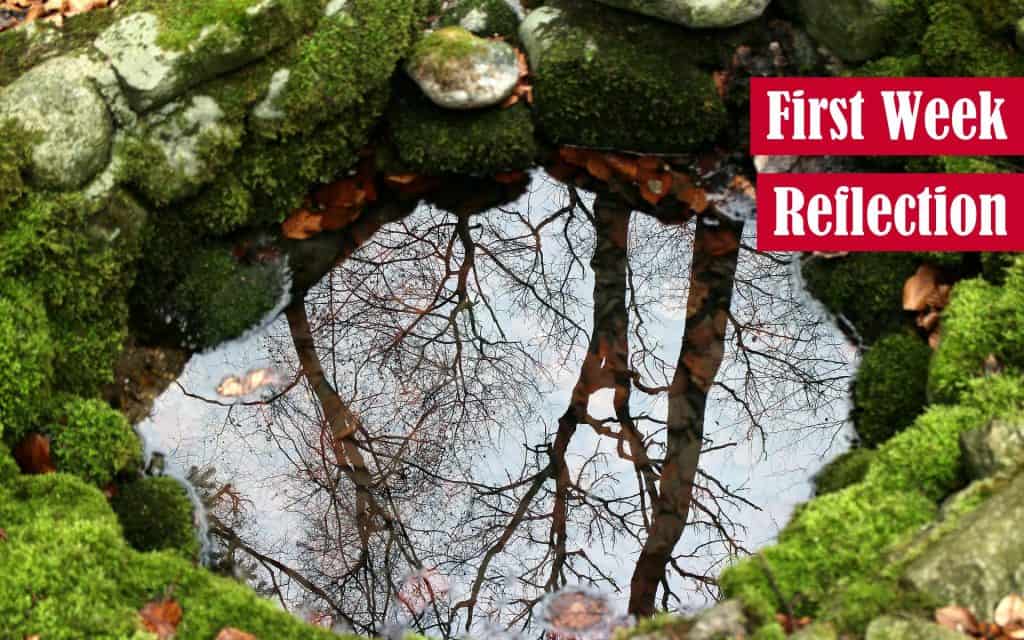 First Week Reflection – The Renegade Coder