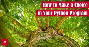 How to Make a Choice in Your Python Program – The Renegade Coder