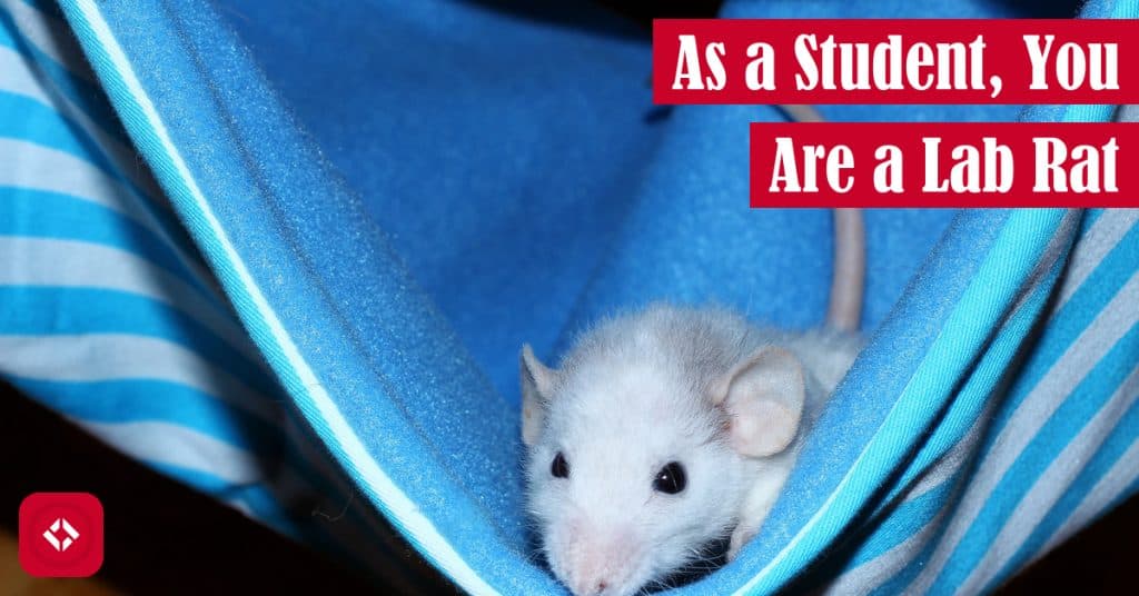 As a Student, You Are a Lab Rat – The Renegade Coder